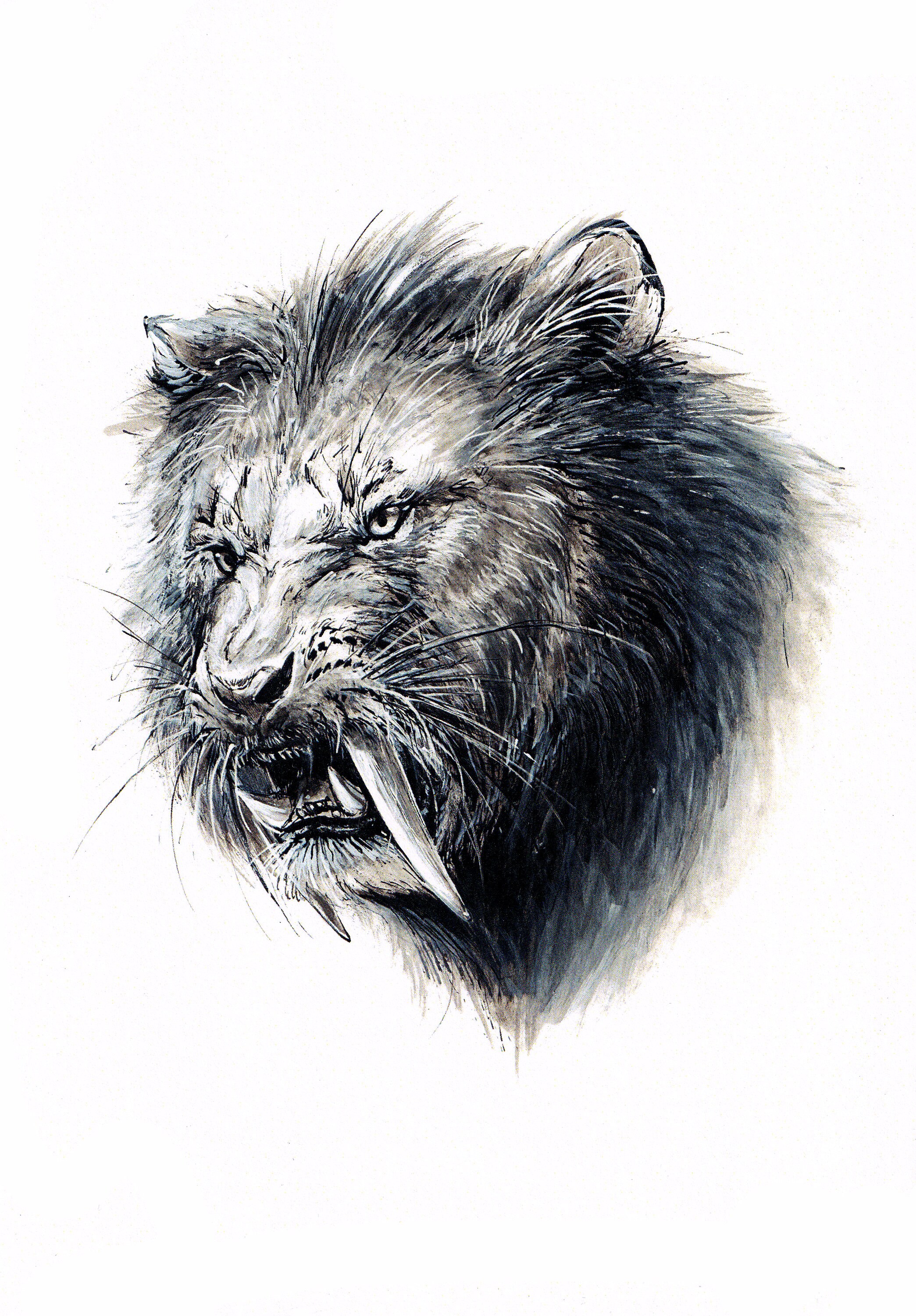Sabertooth Tiger Art Print Prehistoric Wildlife Illustration Smilodon ...