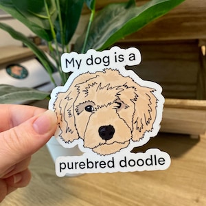 Funny Veterinary Receptionist Sticker Pack, Vet Stickers, Vet Med ...