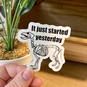 Veterinary Receptionist Sticker Pack, Vet Stickers, Vet Med Stickers ...
