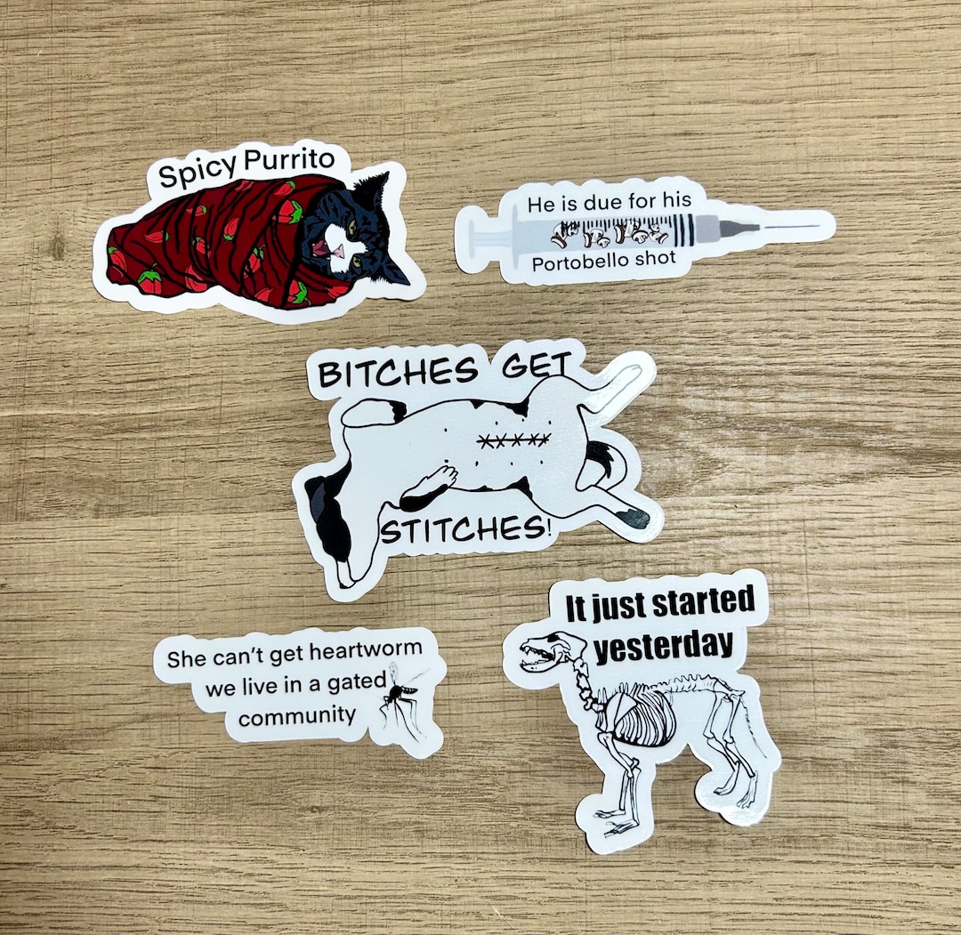 Veterinary Receptionist Sticker Pack, Vet Stickers, Vet Med Stickers ...