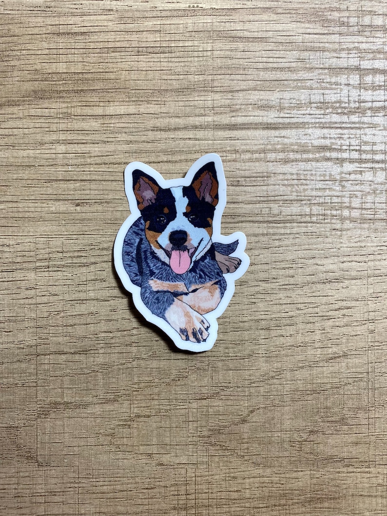 Australian Cattle Dog, Waterproof Vinyl Sticker, Cattle Dog Sticker ...
