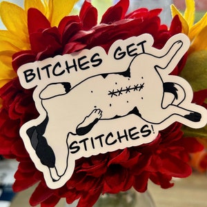 Veterinary Receptionist Sticker Pack, Vet Stickers, Vet Med Stickers ...