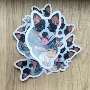 Australian Cattle Dog, Waterproof Vinyl Sticker, Cattle Dog Sticker ...