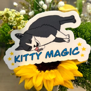 Funny Veterinary Cat Sticker Pack, Vet Stickers, Vet Med Stickers ...