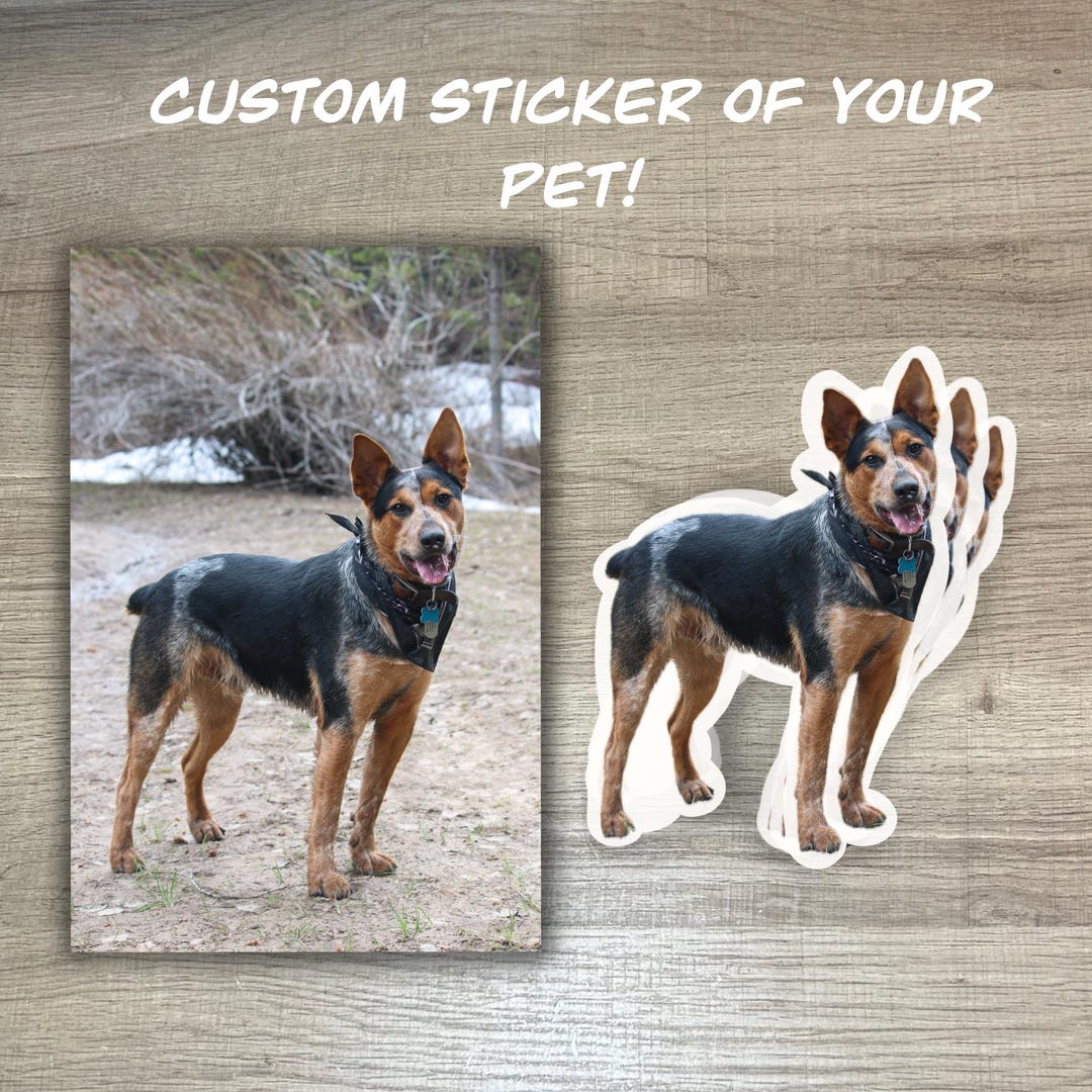 Custom Dog Sticker From Photo, Pet Sticker, Pet Lover Gift, Pet Gift ...