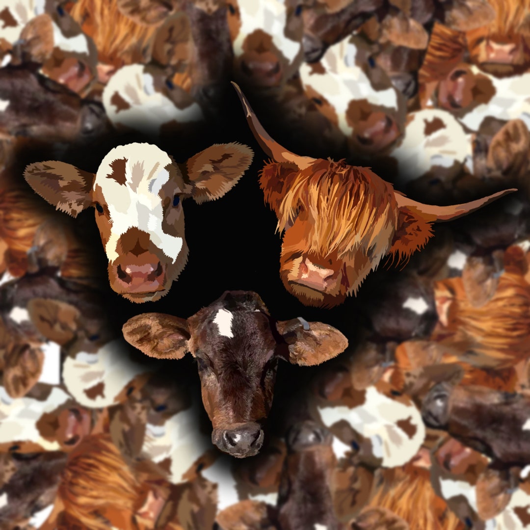 Cow Sticker Pack, Three Sticker Pack, Decal, Sticker for Water Bottles ...