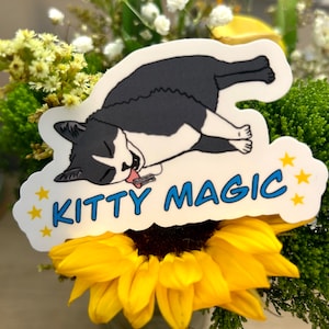 Gaba Traz Vinyl Sticker / Veterinary Meds / Veterinary Medicine Vinyl ...