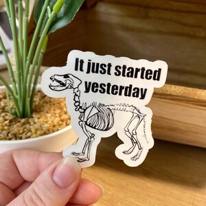 Funny Veterinary Sticker Pack #1, Gifts for Vet Tech Week, Vet Tech ...