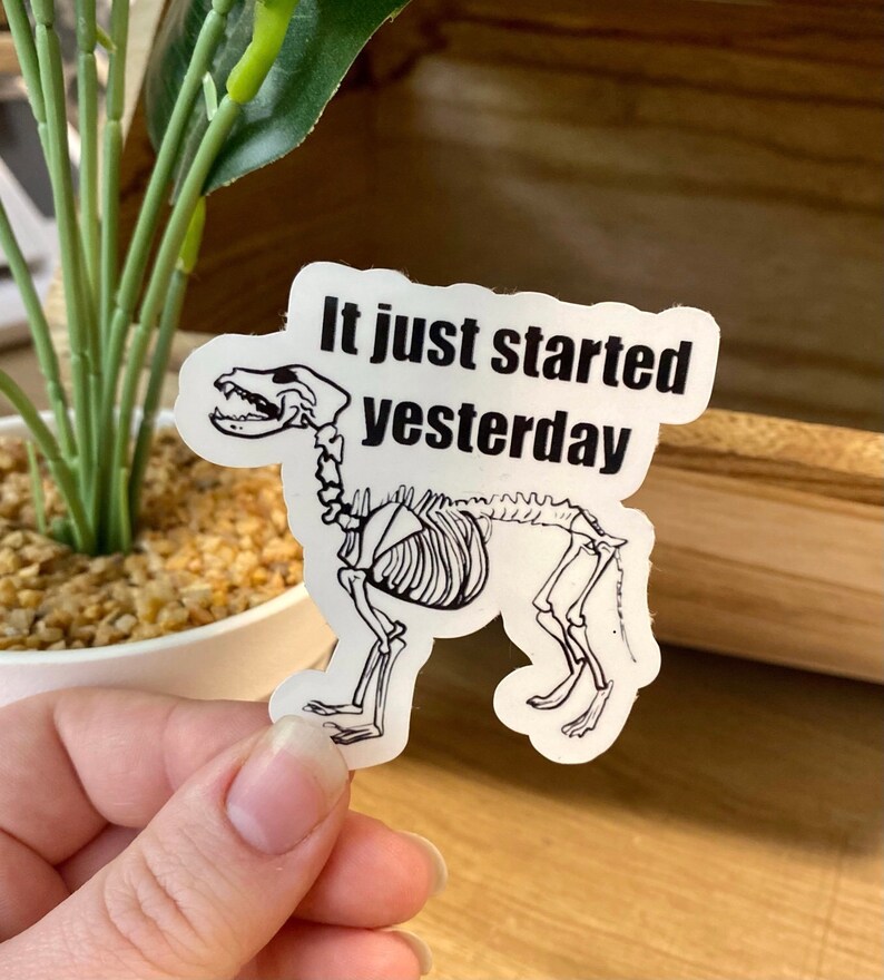 Funny Veterinary Receptionist Sticker Pack Vet Stickers - Etsy