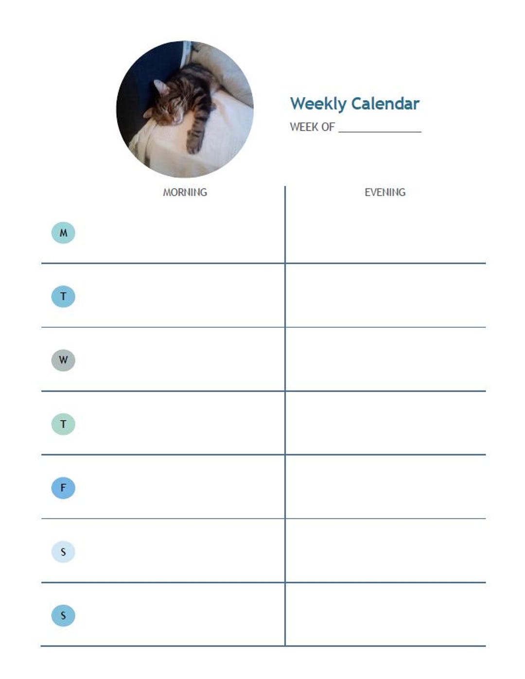 Weekly Printable Calendar - "rufus" Tabby Cat Design - Etsy