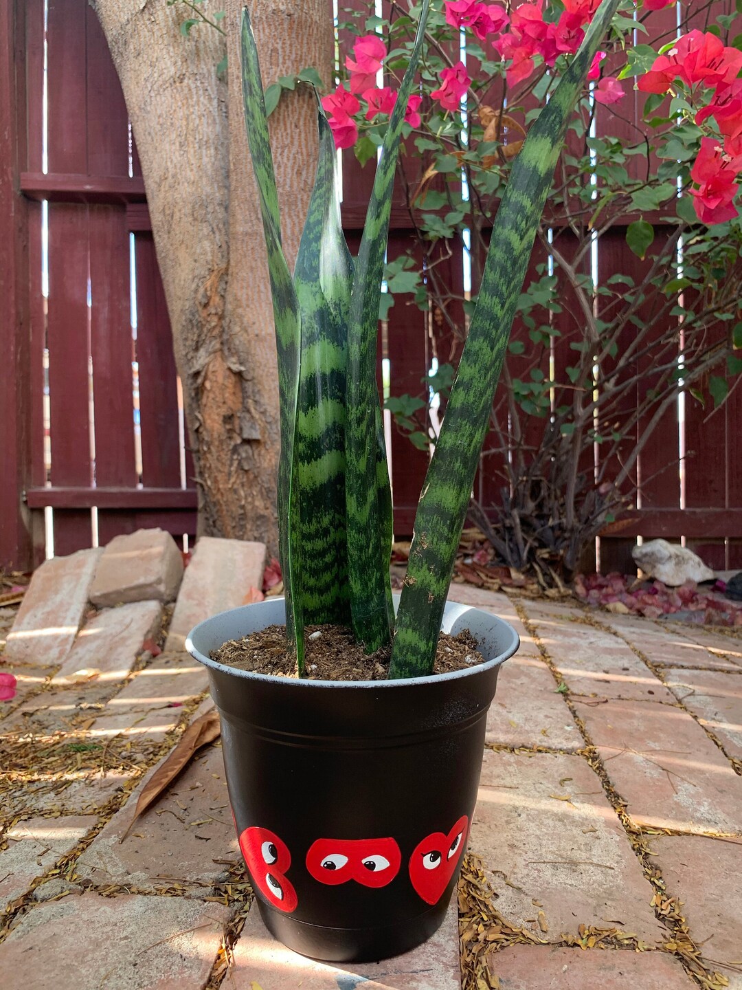 Unique, Hand Painted, Planter Pot, Gardening, Art, Unique, Heart, Eyes ...