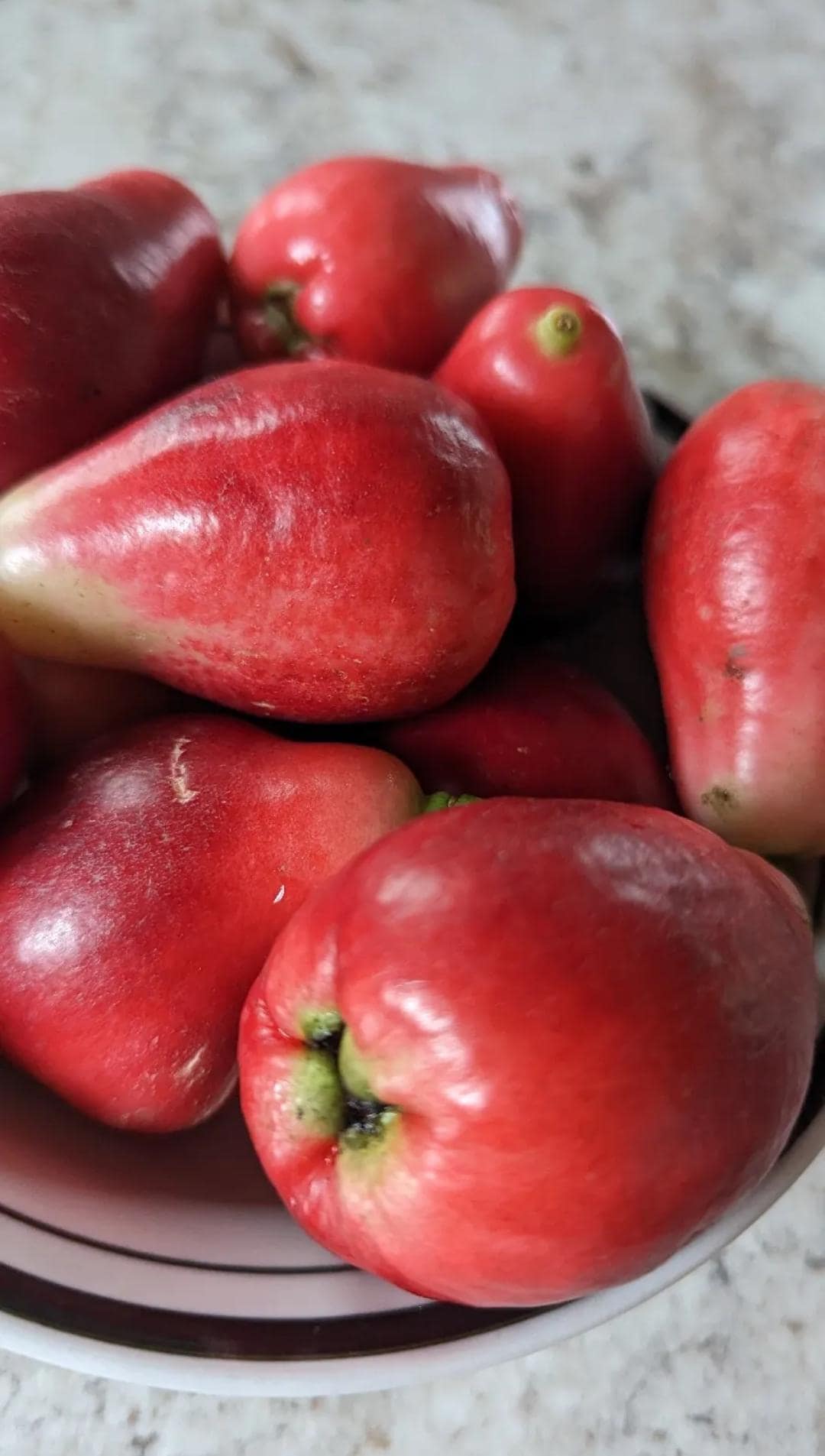 Pomarosa Fruta Pomarrosa #roseapple#otaheite #waterapple#pomarrosa