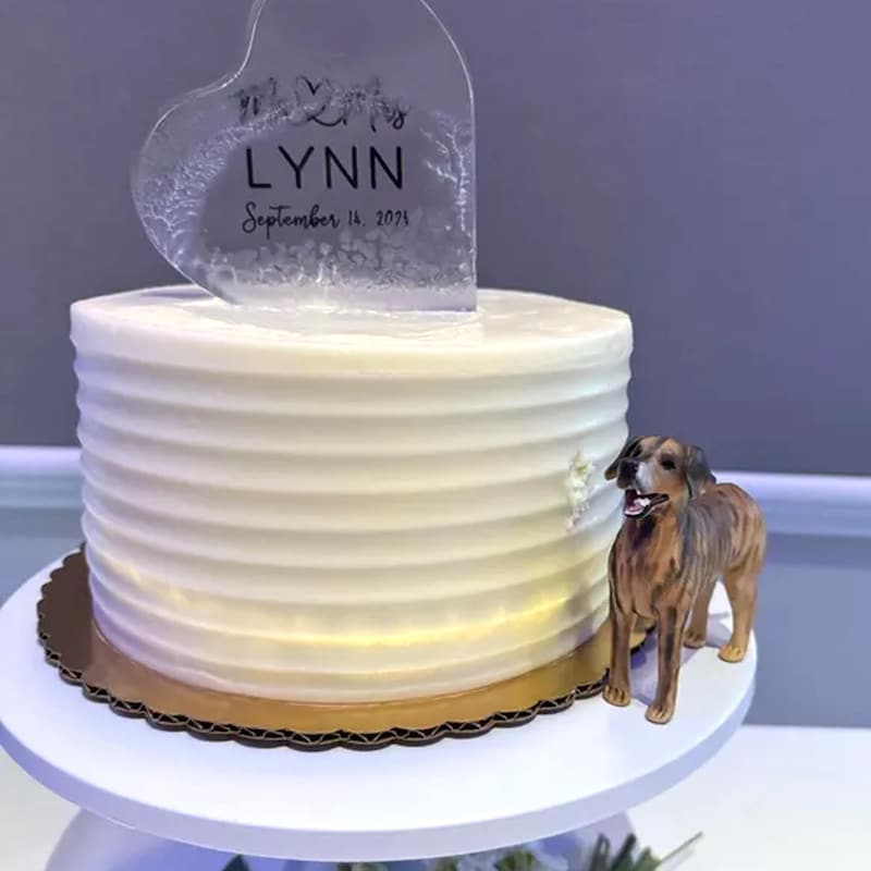 Etsy Cake Dog Topper - Etsy