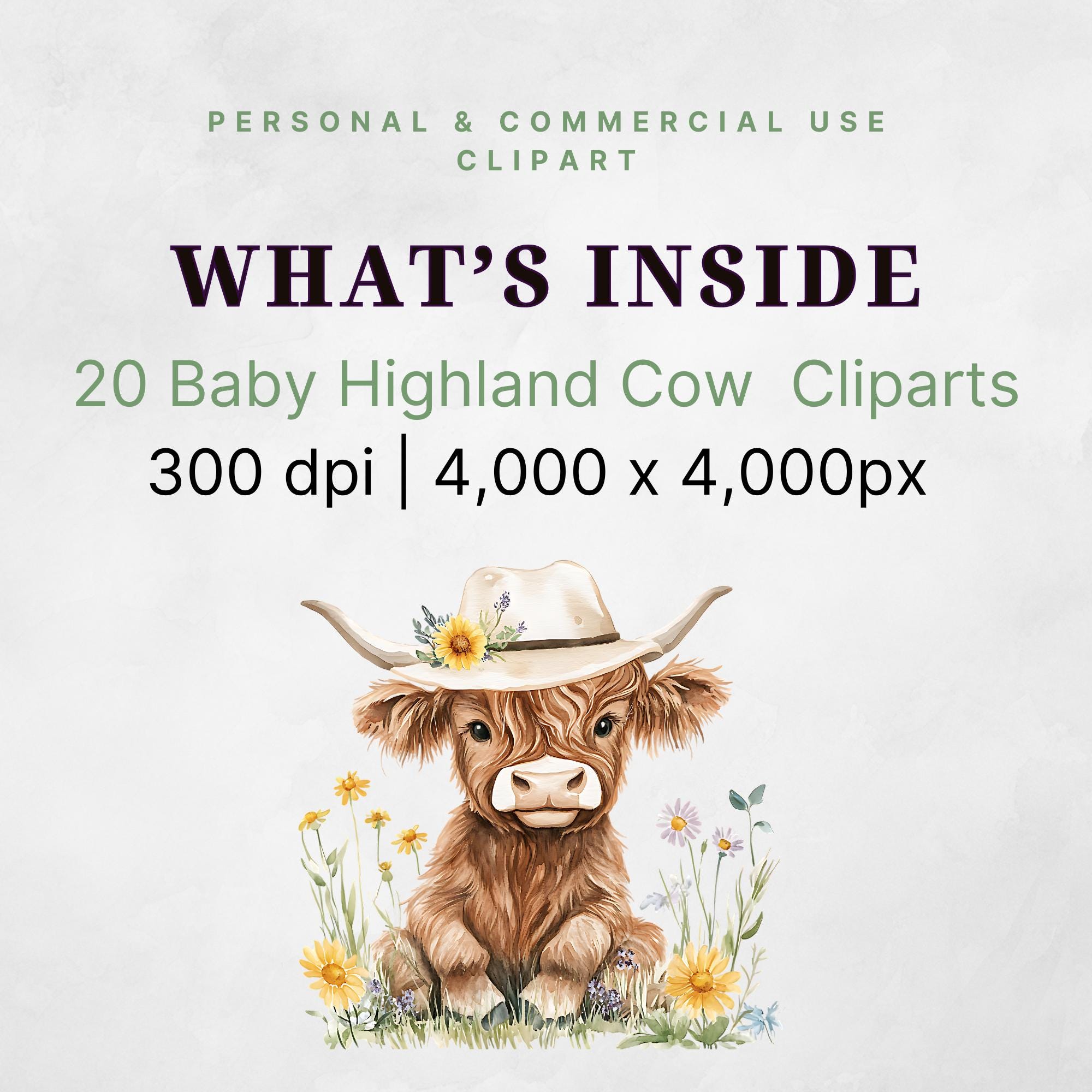 Baby Highland Cow Clipart: Floral Hats, Western PNG Graphics ...