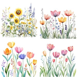 20 Wildflower Meadow Watercolor Clipart Png,summer Floral Nature ...