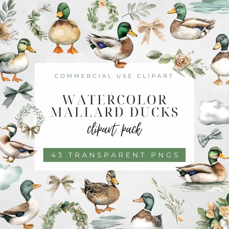 Watercolor Duck Graphics - Etsy