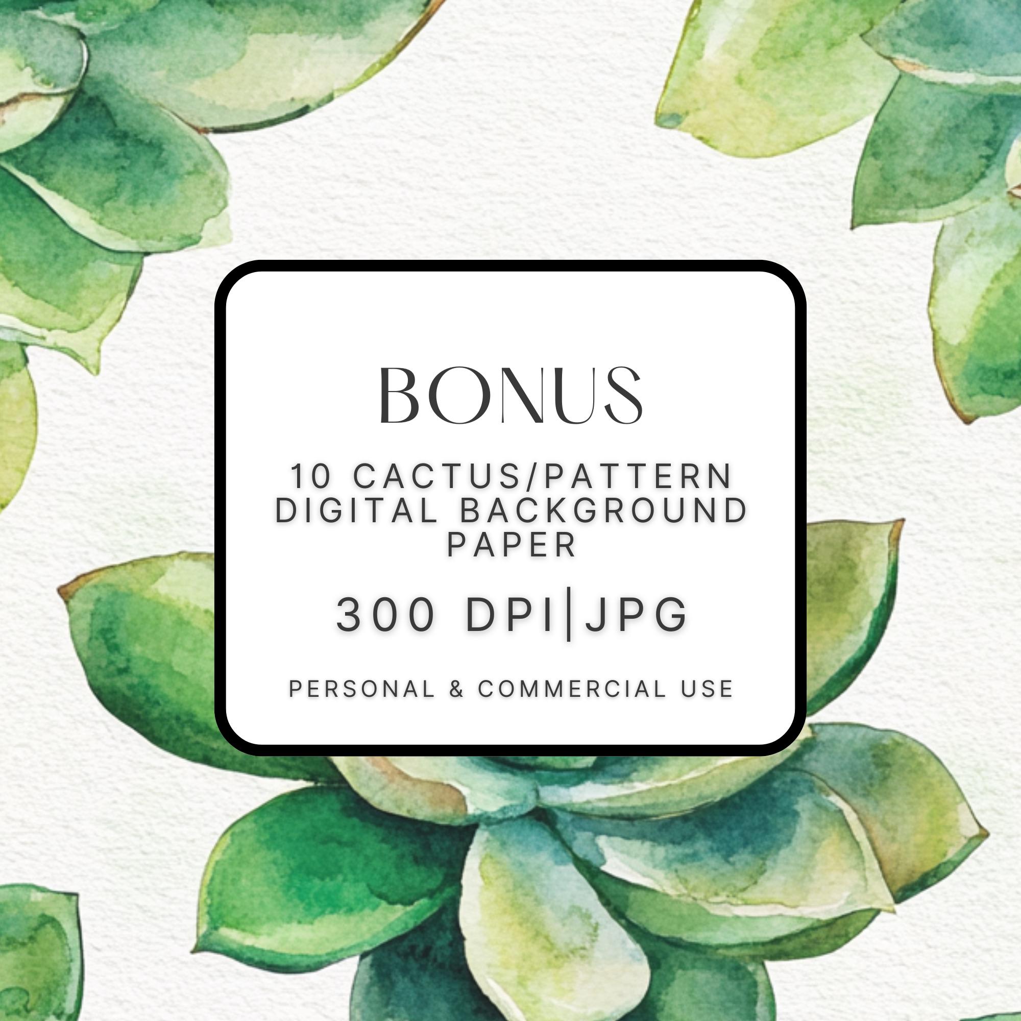 Watercolor Cactus Clipart Bundle: Succulent Pngs & Digital Papers - Etsy
