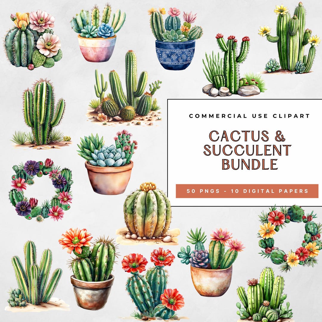 Watercolor Cactus Clipart Bundle: Succulent Pngs & Digital Papers - Etsy