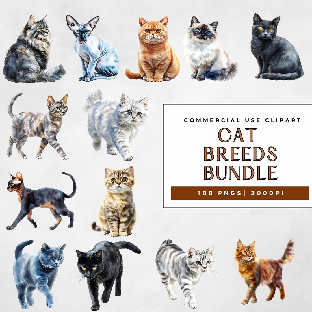 100 Cat Breeds Clipart Bundle PNG, Realistic Watercolor Cat ...