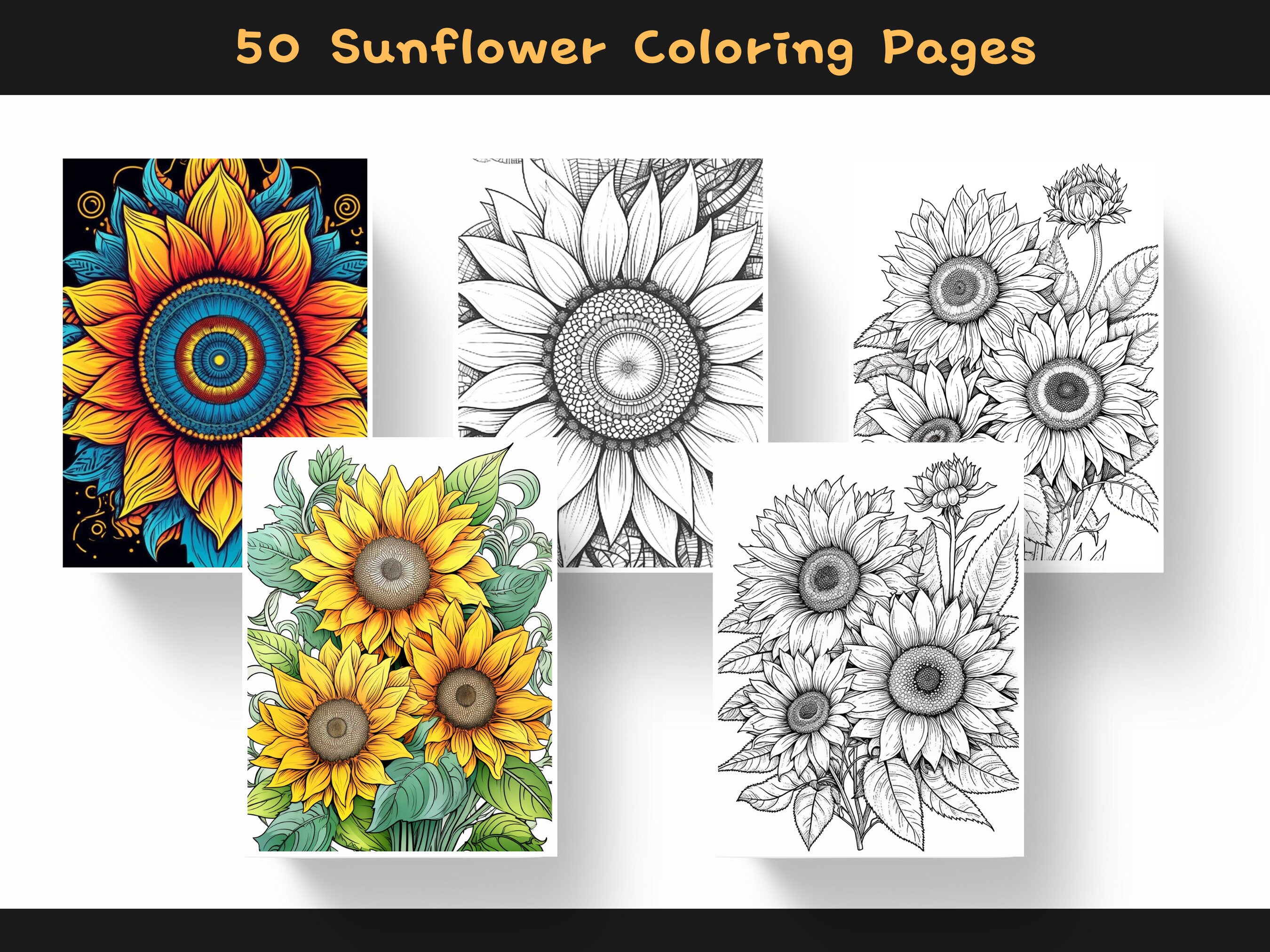 50 Sunflower Coloring Pages for Adults Printable Art Instant - Etsy