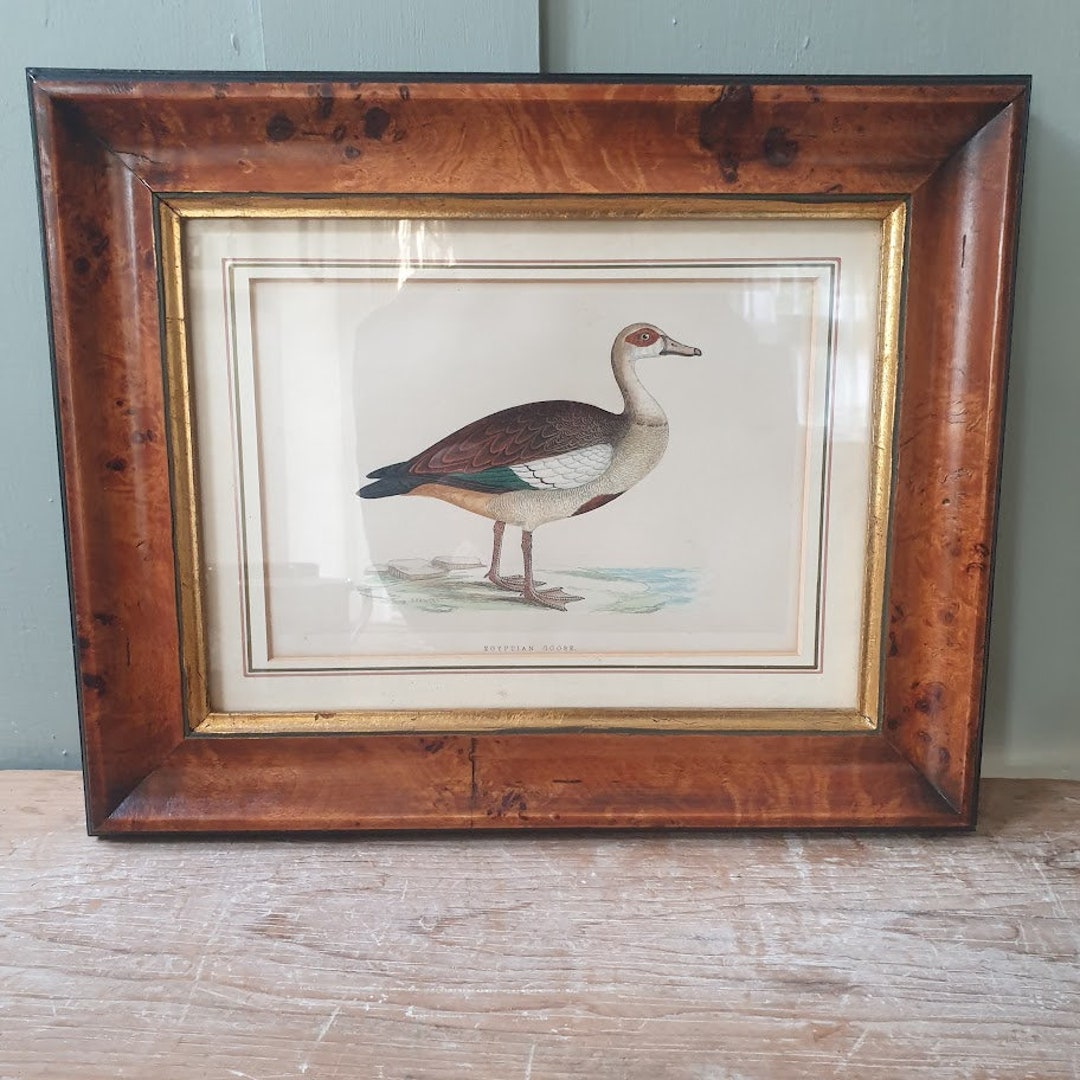 Framed Duck Print, Wall Art, Housewarming Gift - Etsy UK