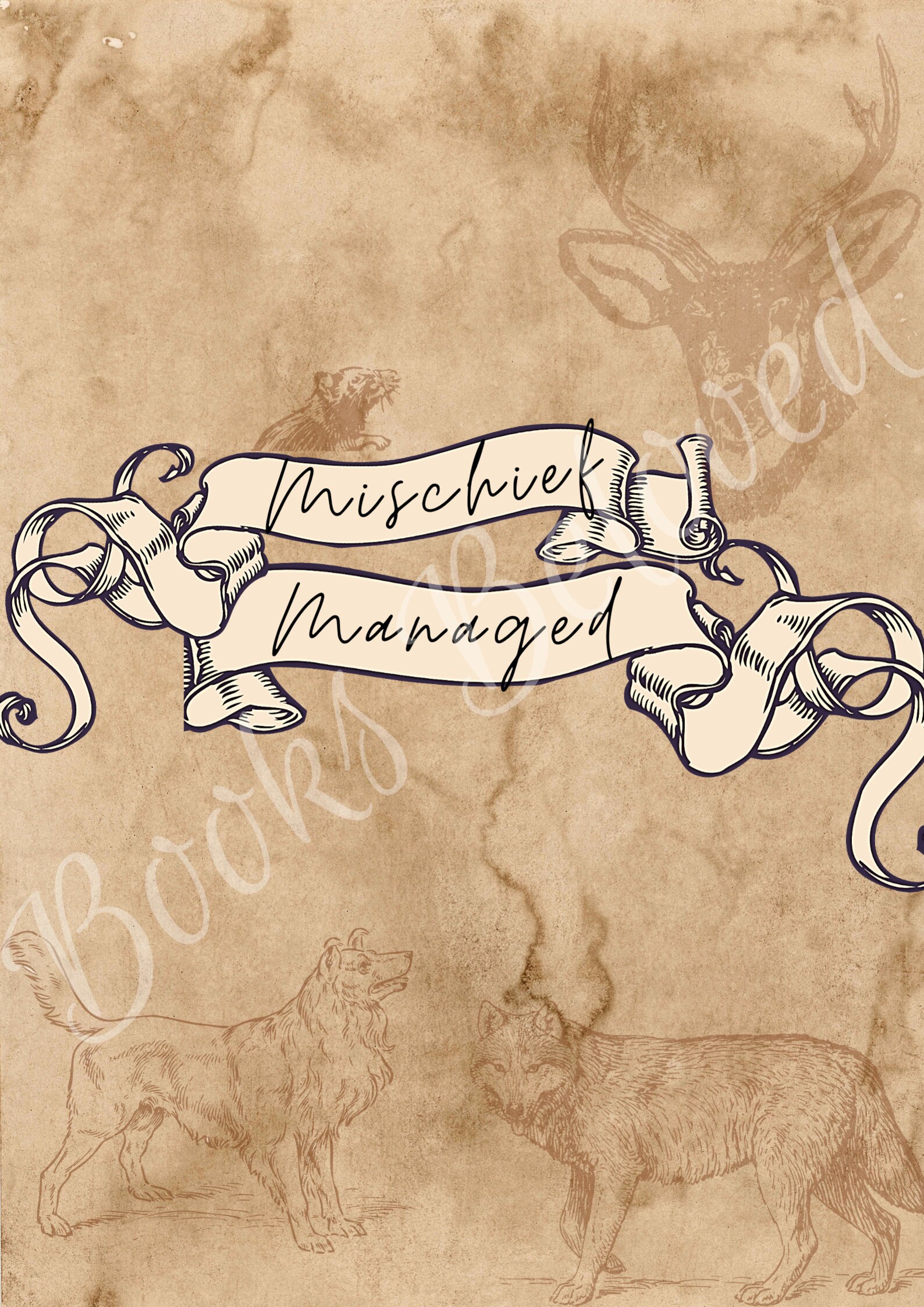 Set of Three Marauders Map Wizard World Posters | Moony, Wormtail ...