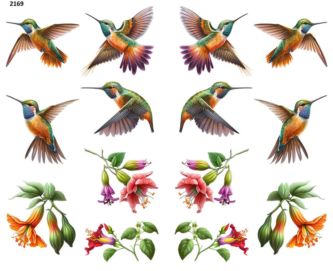 Beautiful Hummingbirds and Flowers - Ceramic Decal - Overglaze Decal ...