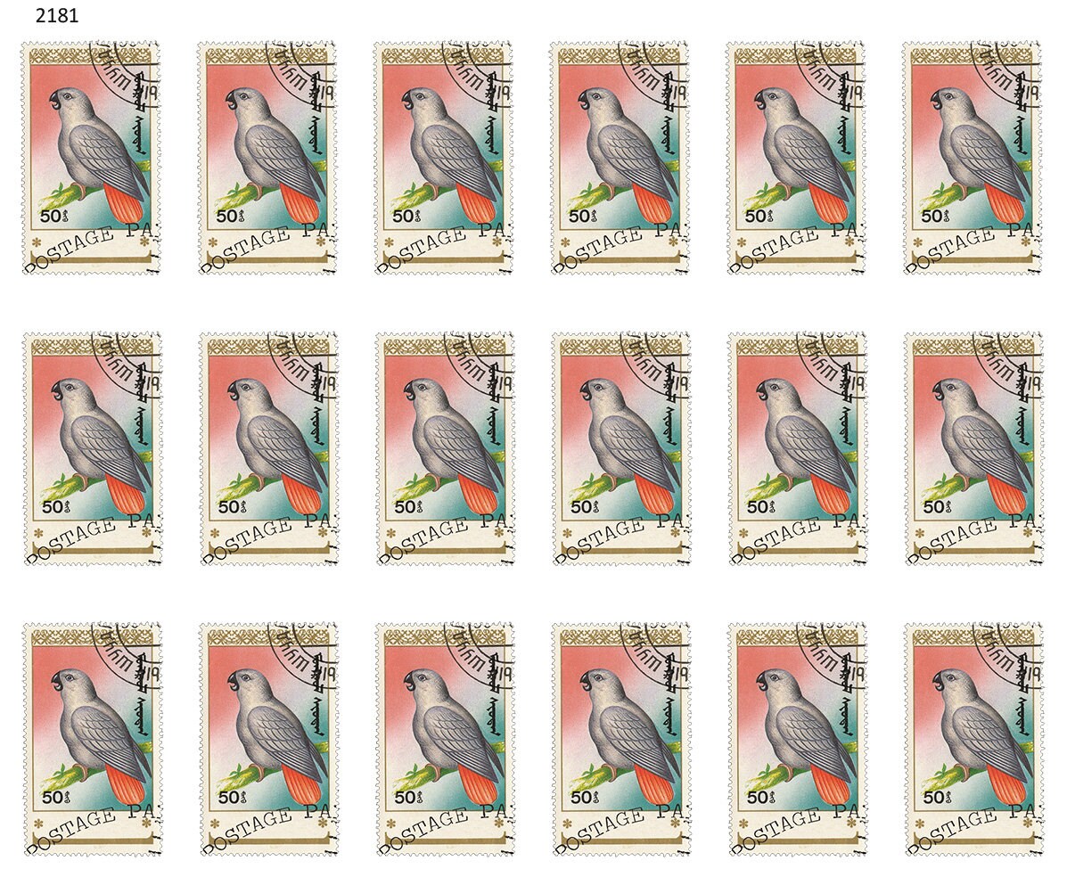 Parrot Postage Paid Stamp - Ceramic Decal - Overglaze Decal - Fusible ...