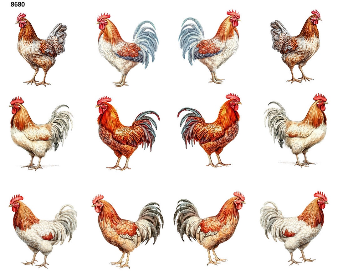 Realistic Rooster Chickens - Ceramic Decal - Overglaze Decal - Fusible ...