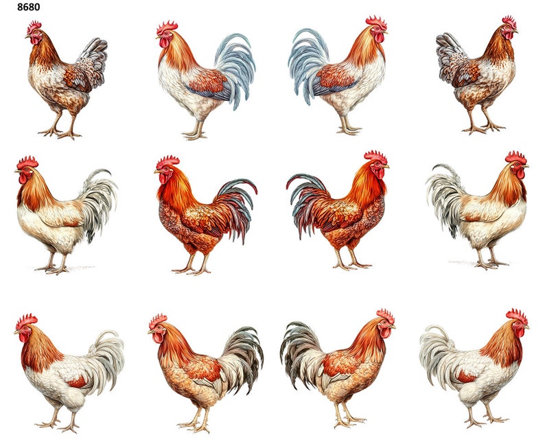 Realistic Rooster Chickens Ceramic Decal Overglaze Decal Fusible Decal ...