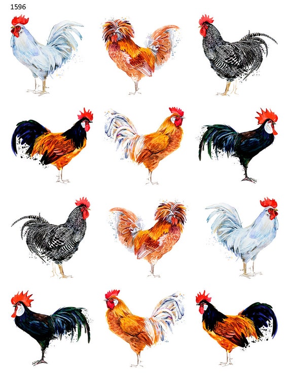 Roosting Roosters Ceramic Decal Overglaze Decal Fusible - Etsy