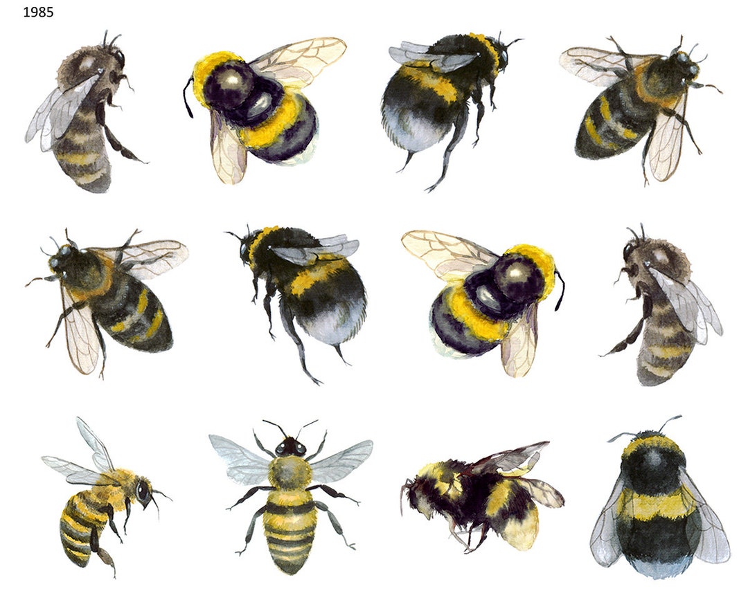 Swarm Sets of Bees III - Ceramic Decal - Overglaze Decal - Fusible ...