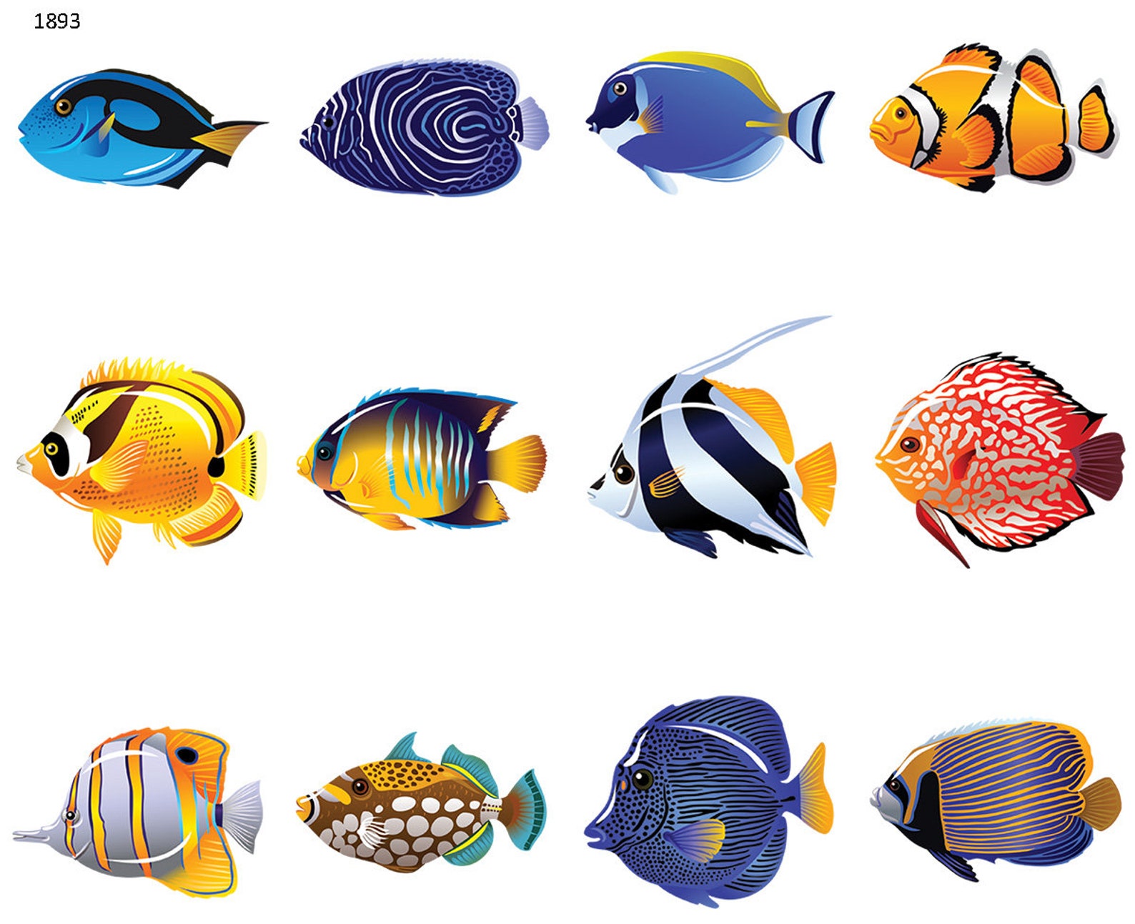 Tropical Fish Ceramic Decal Overglaze Decal Fusible Decal Food Safe ...