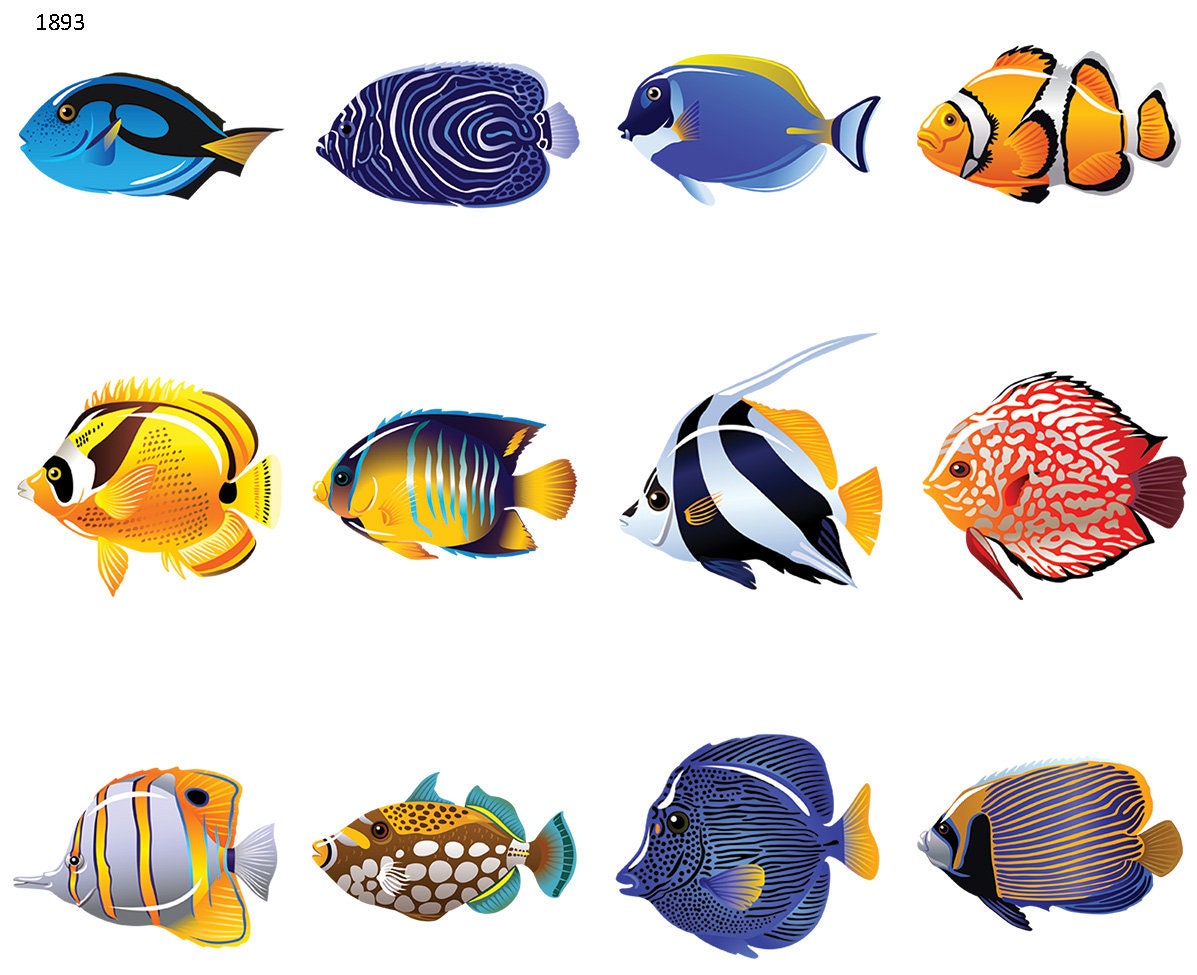 Tropical Fish Ceramic Decal Overglaze Decal Fusible Decal Food Safe ...