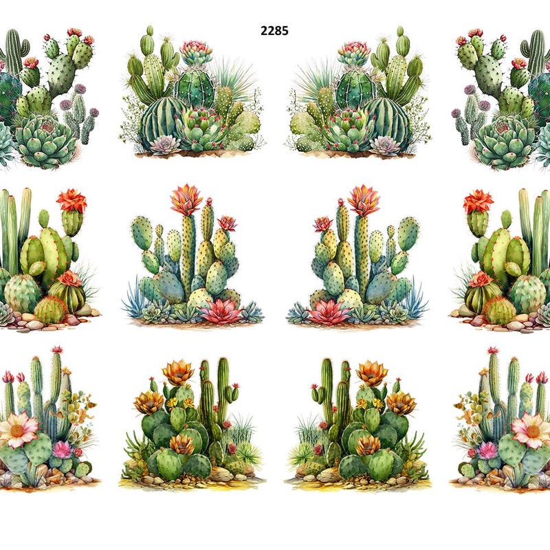 Cactus Wall Decal - Etsy