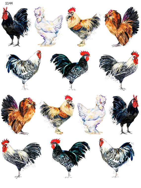 Roosting Roosters II Ceramic Decal Overglaze Decal - Etsy
