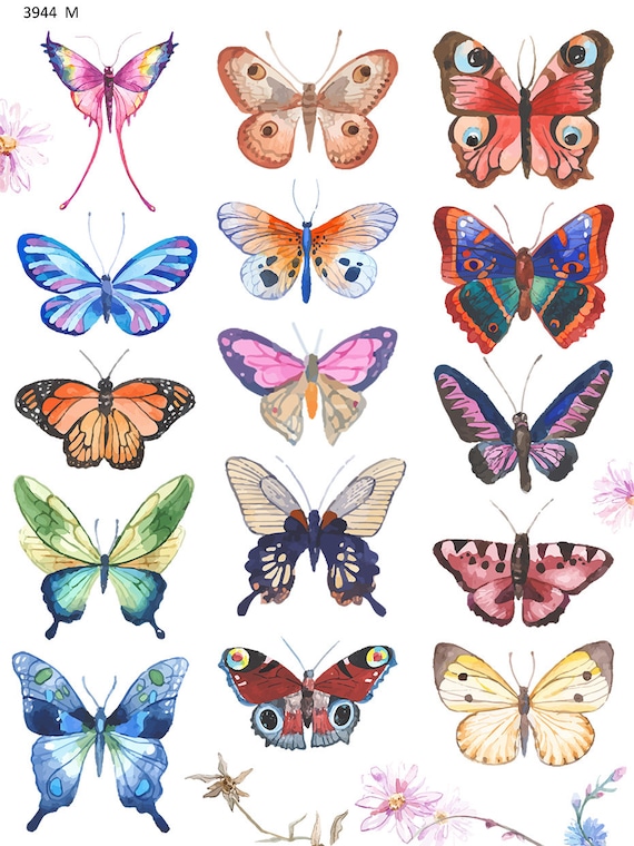 Butterfly Collection Ceramic Decal Overglaze Decal - Etsy