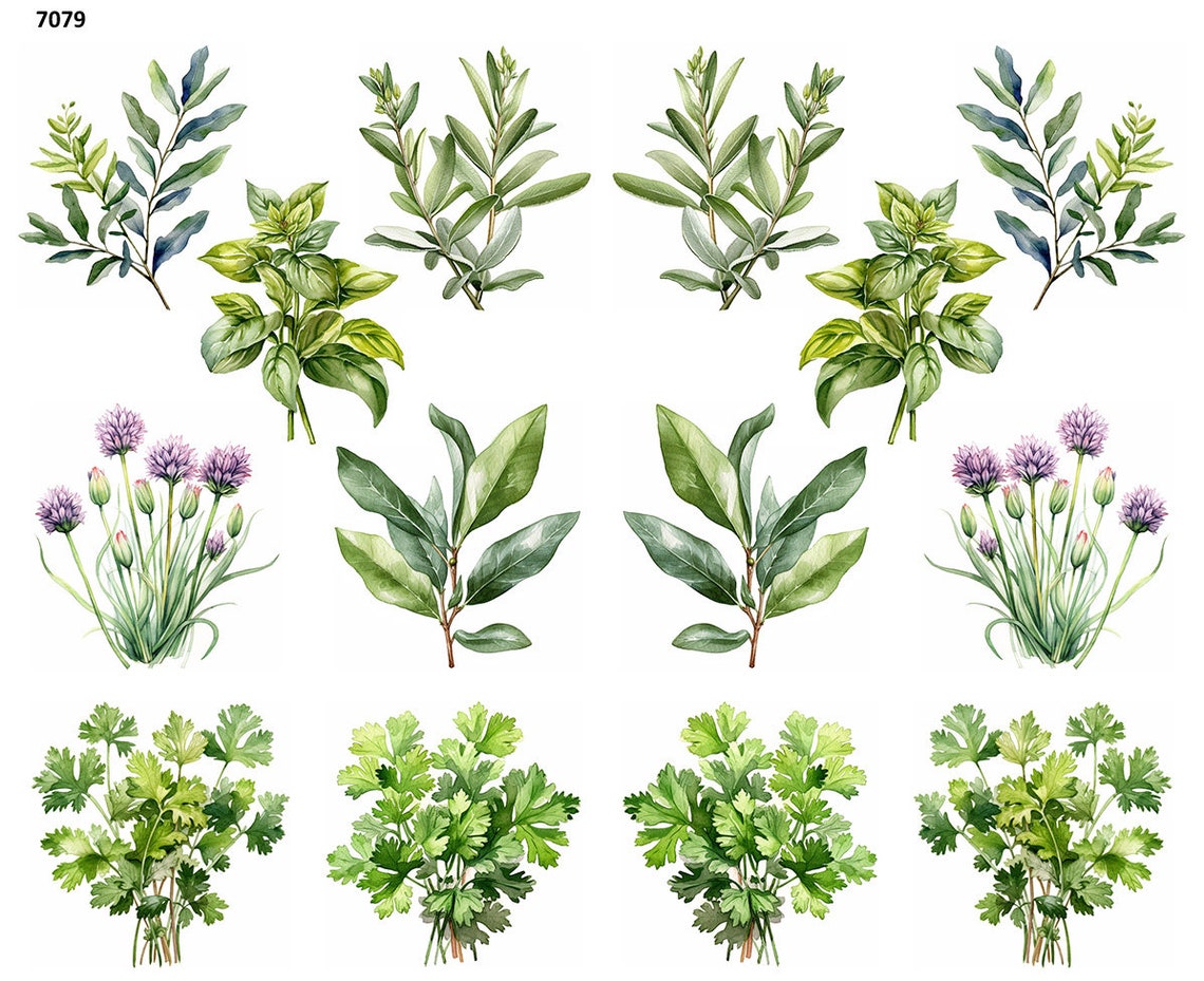 Watercolor Culinary Herbs Ceramic Decal Overglaze Decal Fusible Decal ...