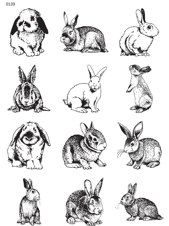 Rabbits Ceramic Decal Overglaze Decal Fusible Decal - Etsy