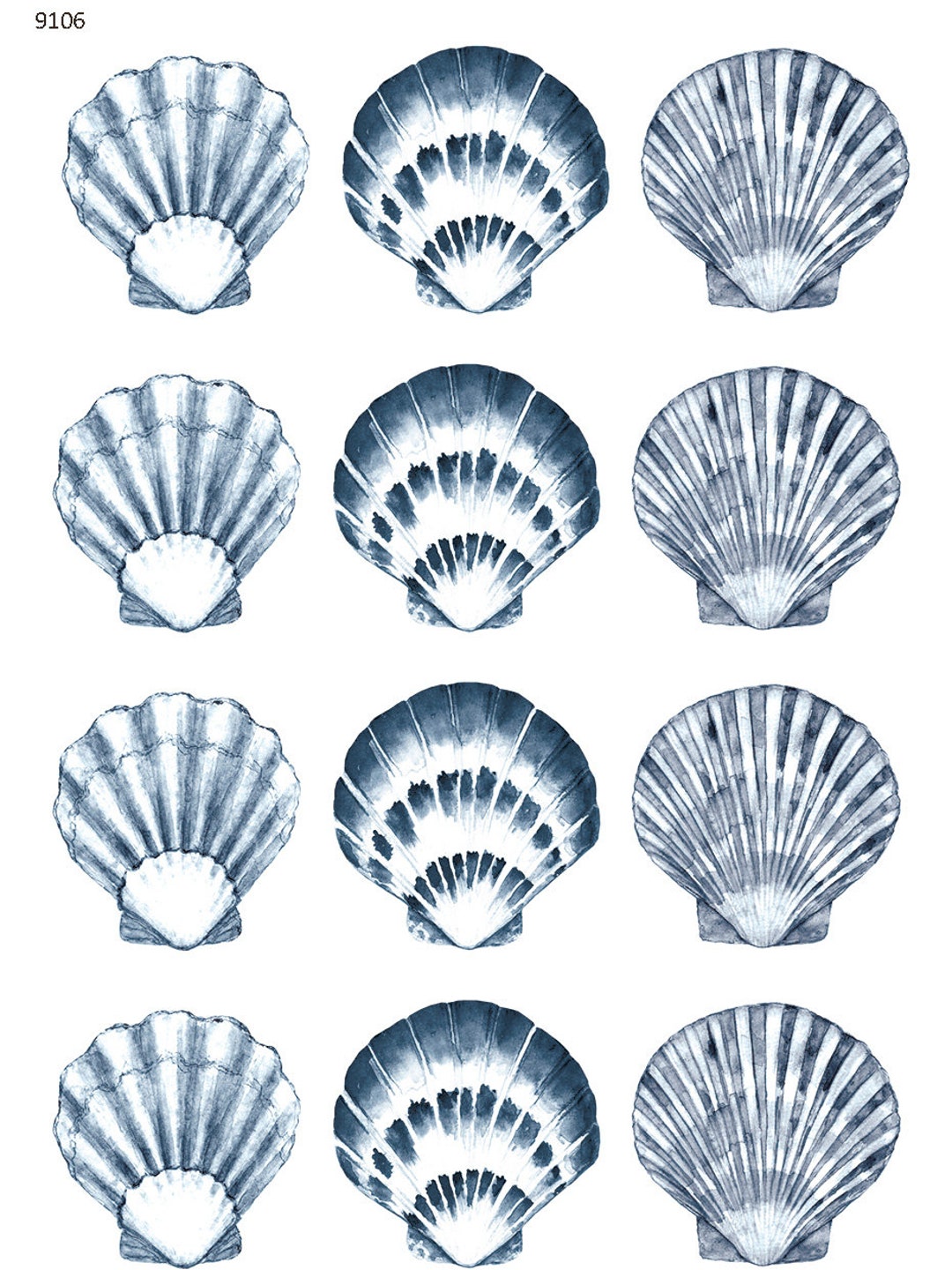 Beautiful Blue Seashells - Ceramic Decal - Overglaze Decal - Fusible ...