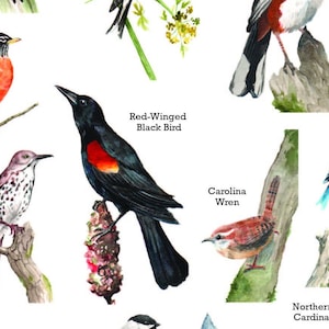 Backyard Birds of Georgia - Etsy