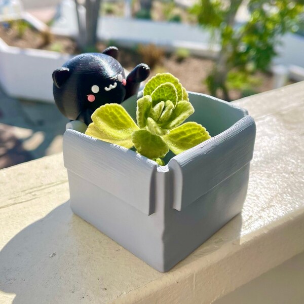 Planter Box Cat - Etsy