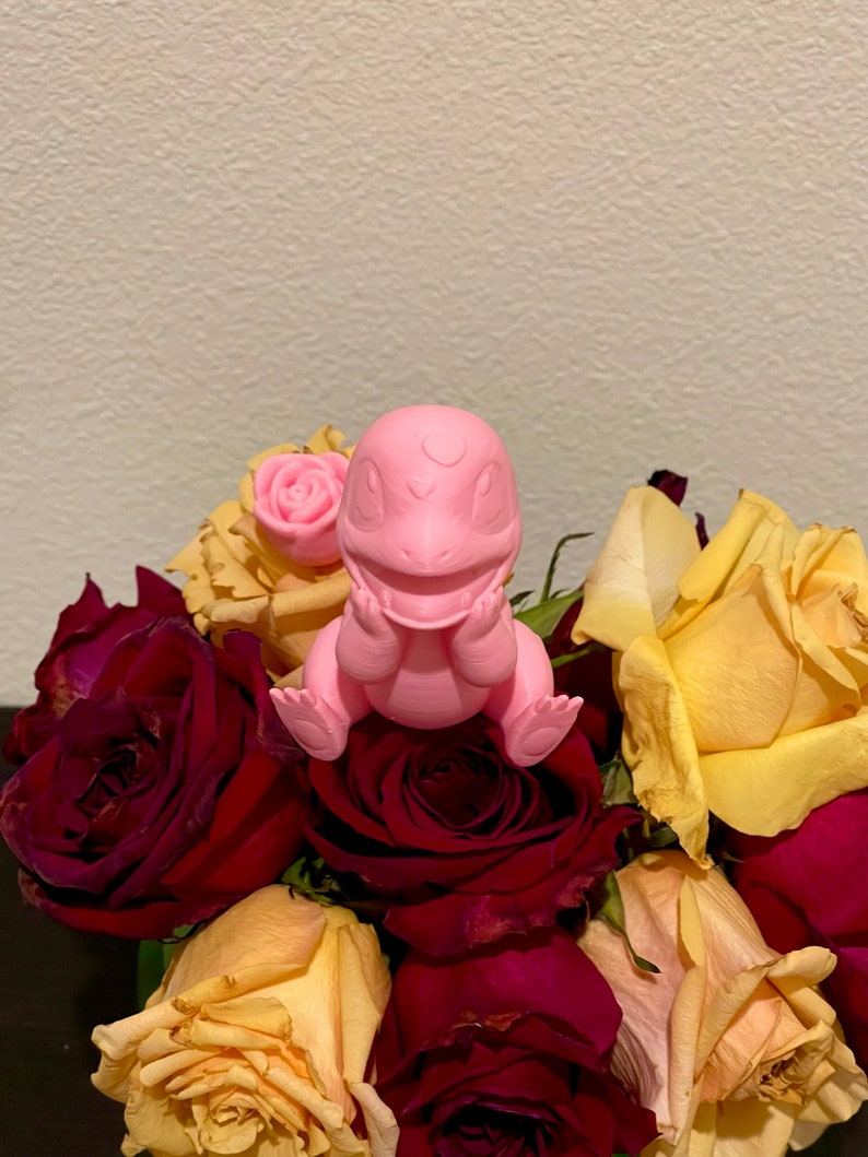 Valentine Shiny Gen 1 Starters: Bulbasaur Charmander - Etsy