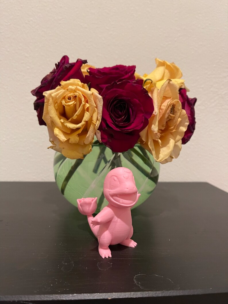 Valentine Shiny Gen 1 Starters: Bulbasaur Charmander - Etsy