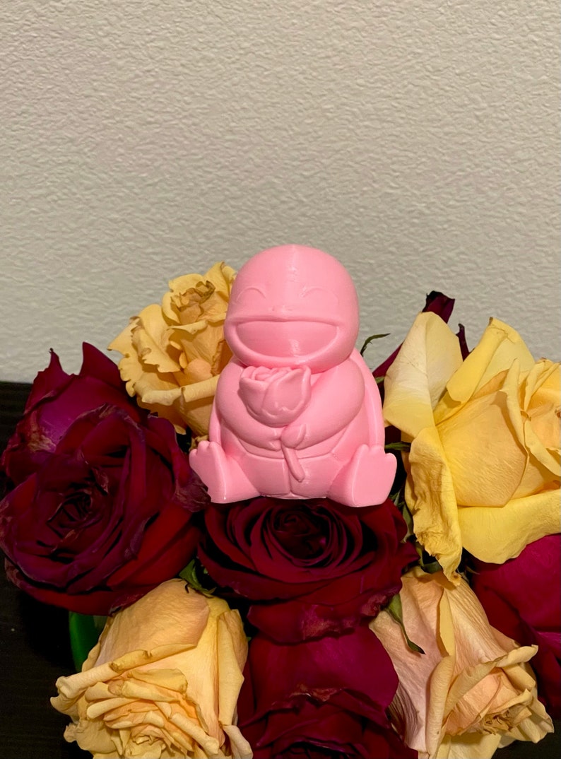 Valentine Shiny Gen 1 Starters: Bulbasaur Charmander - Etsy