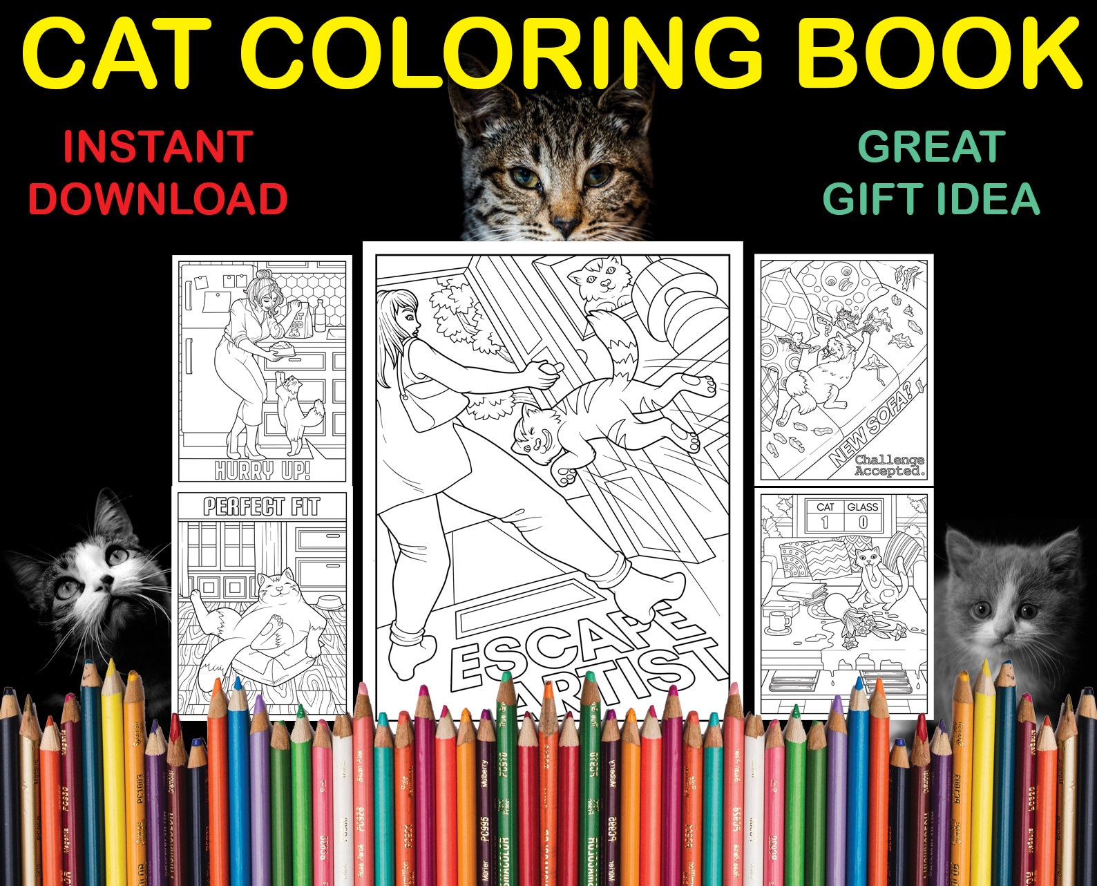 Challenge Accepted Cat