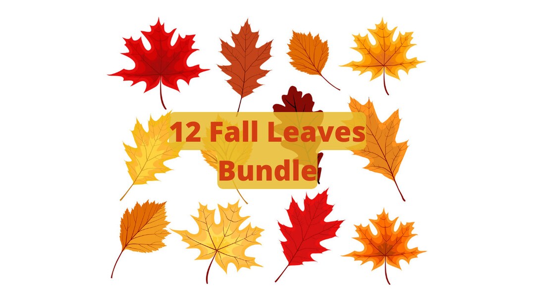 Fall Leaves Bundle, Fall Svg, Fall Leaf Svg Bundle, Fall Png, Dxf ...