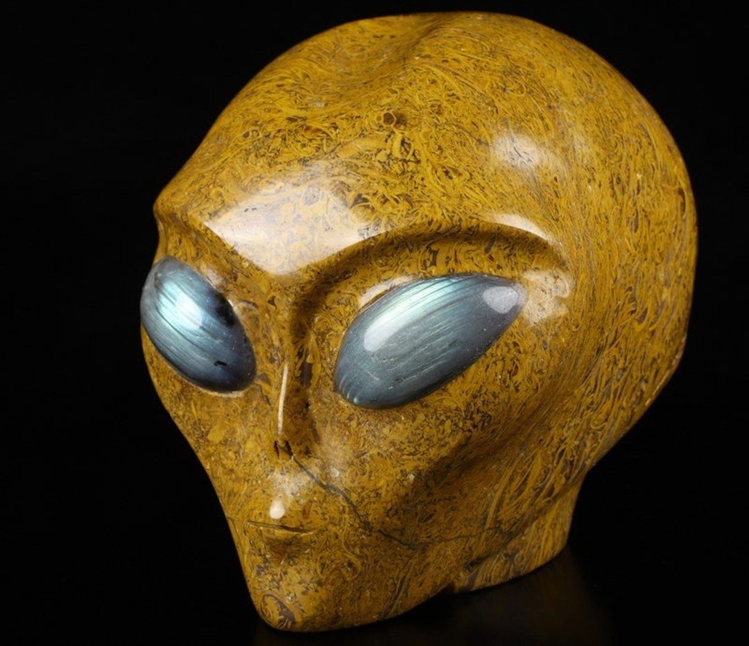 Elephant Jasper, Mariam Jasper, 4.1 Inch Alien Skull / Cranio Skull ...