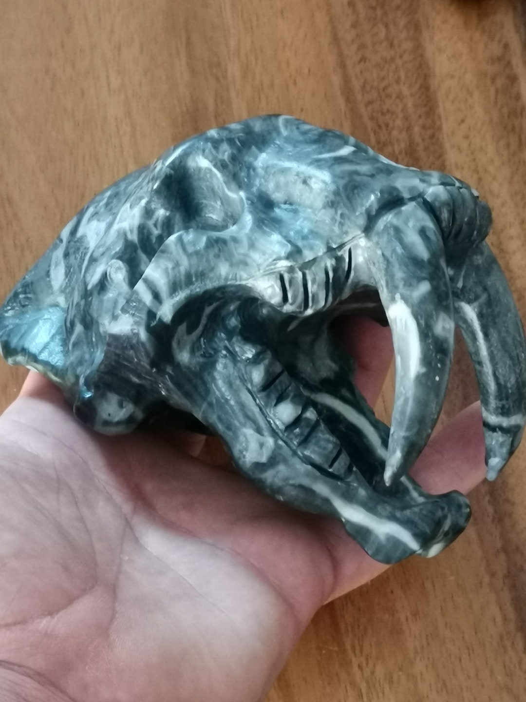 Smilodon / Saber Tooth Tiger Skull, Natural Stone Shell Fossil Crystal ...