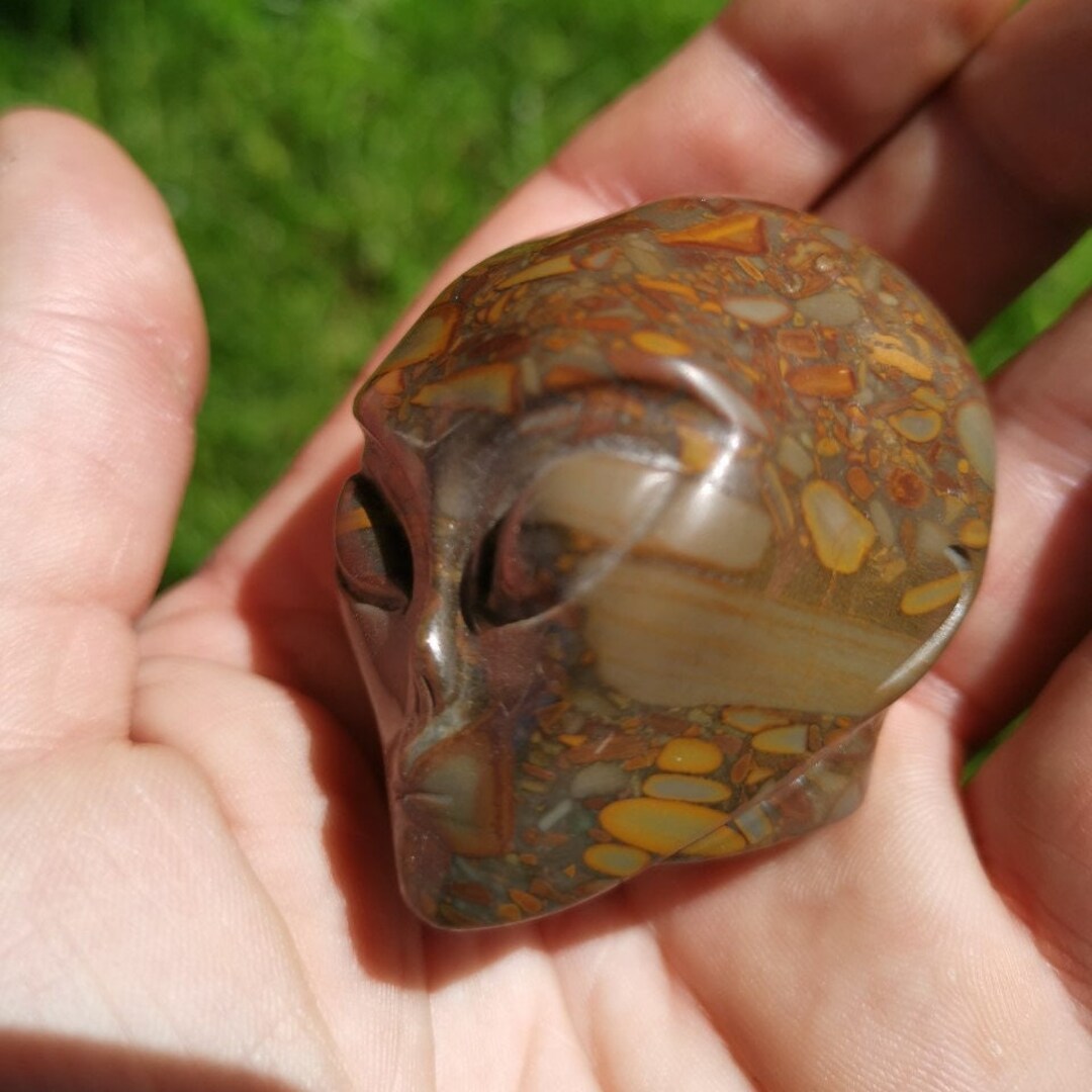 BOOK Monique C / Jasper Bamboo Skull ALIEN / Collectible Natural Stone ...